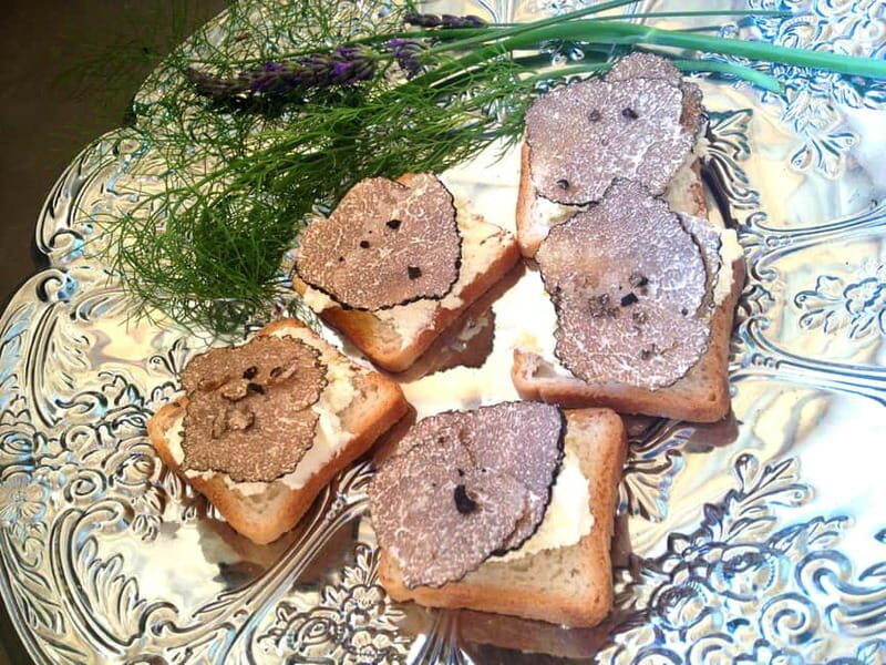 Truffle Hunting in Provence - The Scenic Surroundings