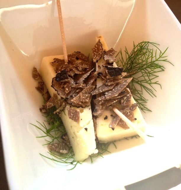 Truffle Hunting in Provence - Final Thoughts