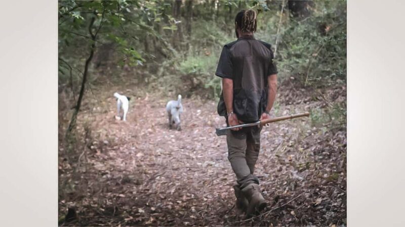 Truffle Hunting in San Gimignano - Final Thoughts