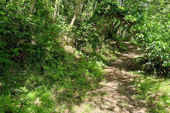 Truffle hunting in the Sicani mountains: a unique experience in Sicily - Practical Details