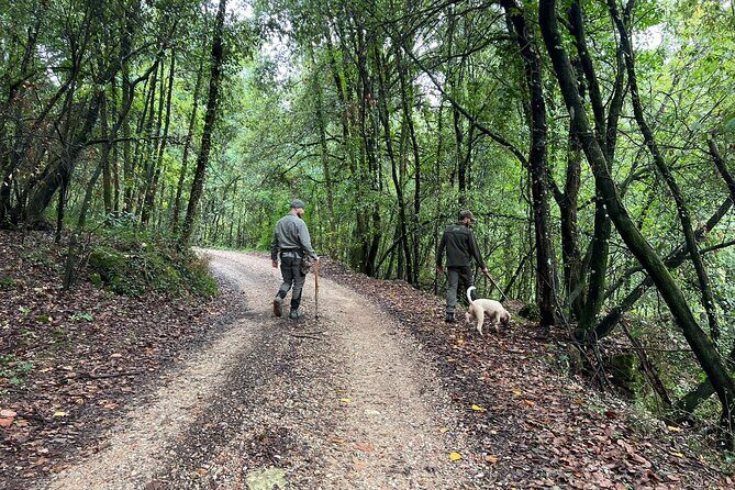 Truffle Hunting, Lunch & Cooking Class in Rome's Countryside - Final Thoughts