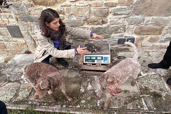 Truffle Hunting & Lunch halfway from Parma to Cinque Terre - Practical Details and Considerations