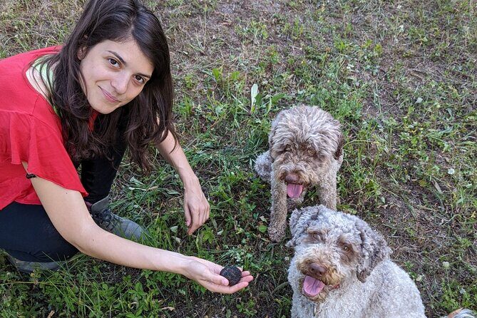 Truffle Hunting & Lunch halfway from Parma to Cinque Terre - Why You Should Consider This Experience