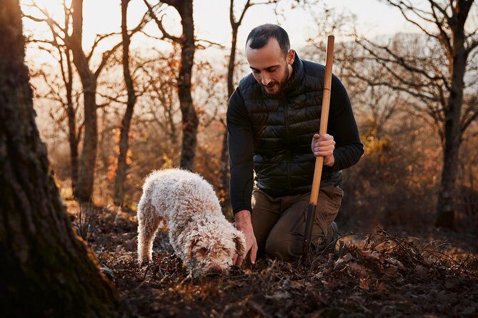 Truffle hunting near Rome with 7-course lunch - Authenticity and Reviewer Insights