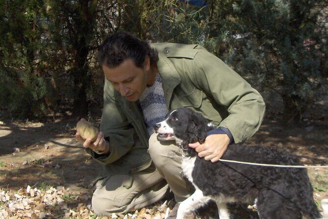 Truffle Hunting & Tasting in San Miniato Tuscany with Dogs - A Deep Dive into the Truffle Hunting & Tasting Tour