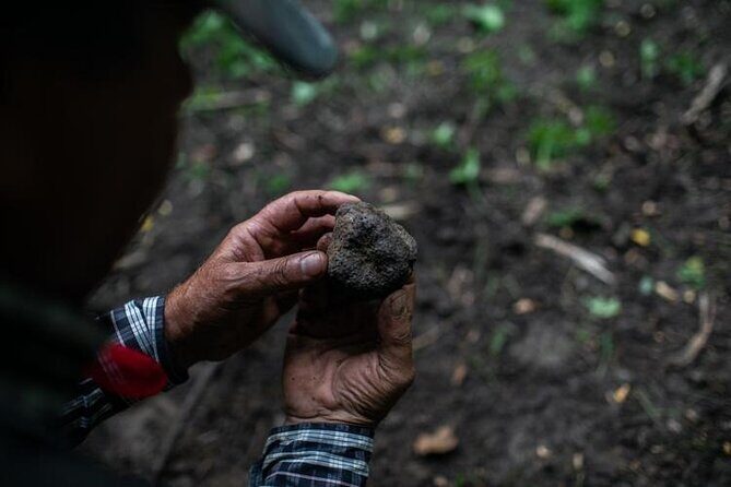 Truffle hunting with tasting in the woods - Final Thoughts