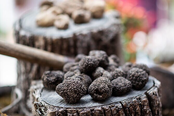 Truffle Hunting with Three Course Meal by Local Family - The Truffle Hunting Journey