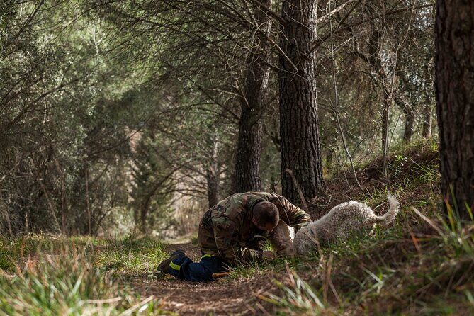 Truffle Lunch & Hunting Experience in San Gimignano - Overview of the Experience