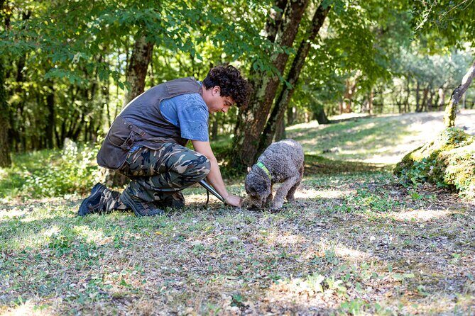 Truffle Lunch & Hunting Experience in San Gimignano - FAQ