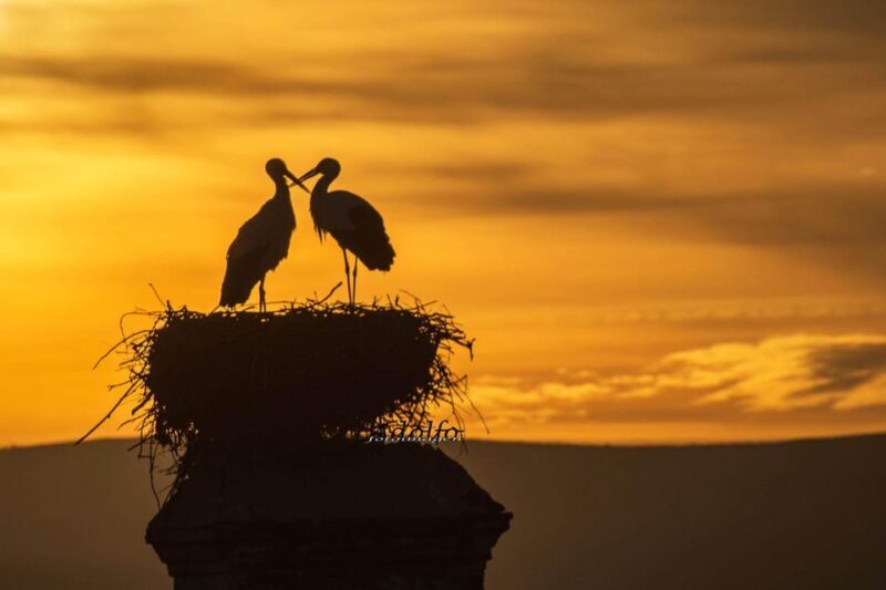Trujillo :Sunset guided visit "The Sunset Collector". - Key Points