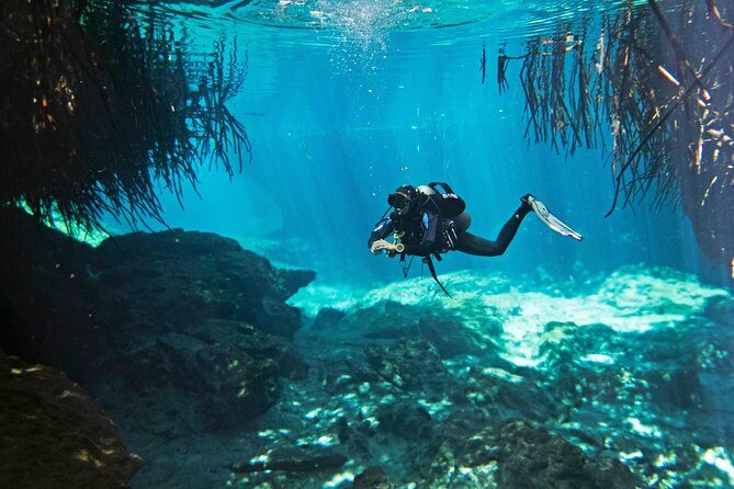 Try dive in beautiful Casa cenote for 2 people - Introduction: A Unique Underwater Adventure at Casa Cenote