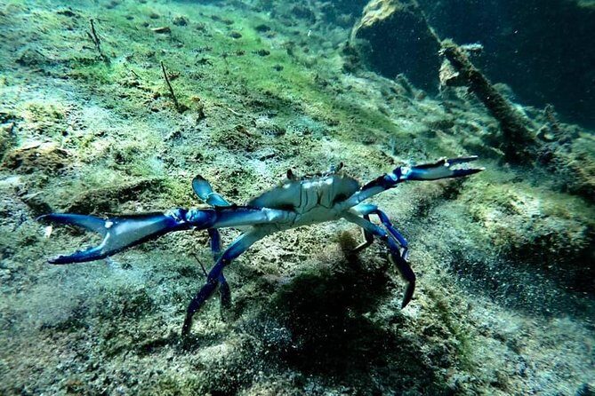 Try dive in beautiful Casa cenote for 2 people - What Is the Casa Cenote Experience All About?