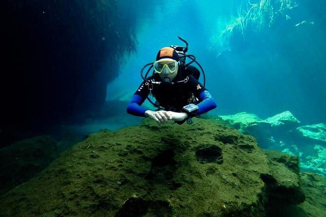 Try dive in beautiful Casa cenote for 2 people - Highlights: Why You’ll Love This Tour