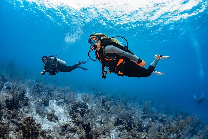Try Dive - PADI Discover Scuba Diving in Tenerife - Why This Tour Excels
