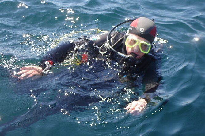 Try Dives - Discover Scuba Diving in Albufeira - The Experience: What to Expect From Start to Finish