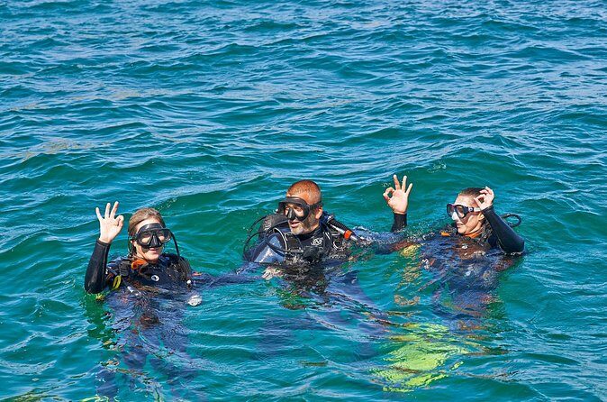 Try Dives - Discover Scuba Diving in Albufeira - The Sum Up: Who Will Love This Experience?