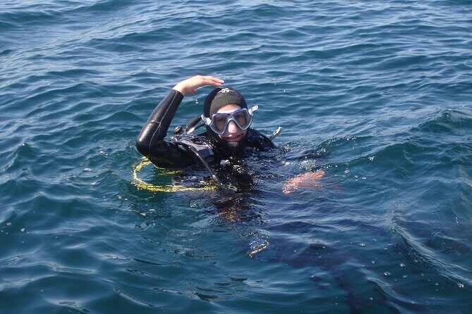 Try Dives - Discover Scuba Diving in Albufeira - FAQ