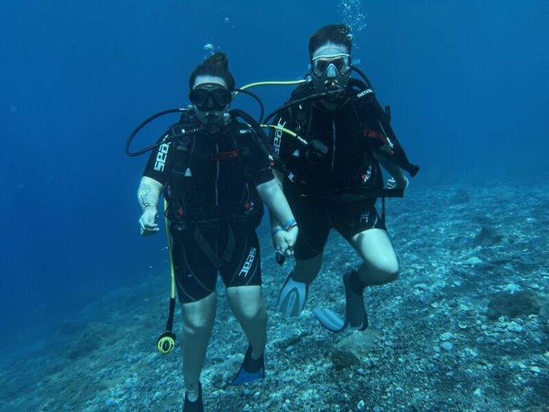 Try diving for the first time in turtle area - Who Will Love This Tour?