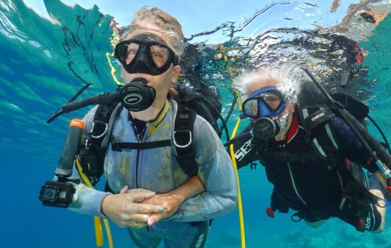 Try diving for the first time in turtle area - Final Thoughts: Is It Worth It?