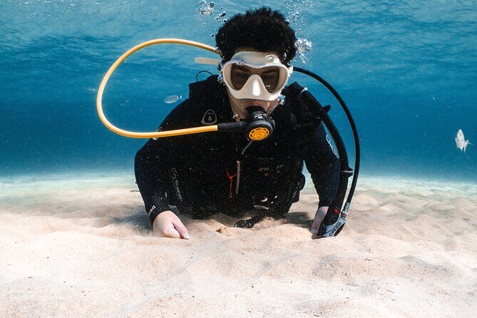 Try Scuba Diving | 1 dive - Why This Tour Offers Great Value