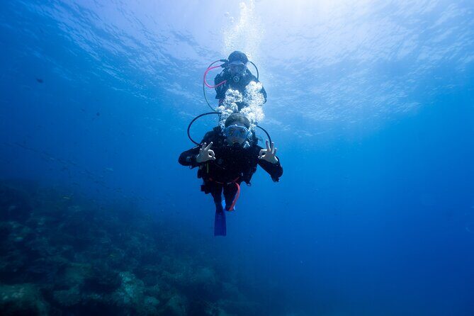 Try Scuba Diving at Cook Island  Guided Ocean Dive with Turtles - Exploring the Try Scuba Diving Experience at Cook Island