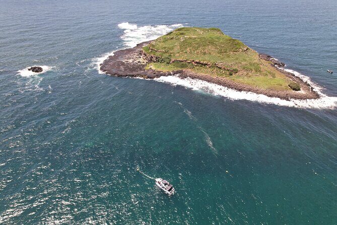 Try Scuba Diving at Cook Island  Guided Ocean Dive with Turtles - Final Thoughts: Is It Worth It?