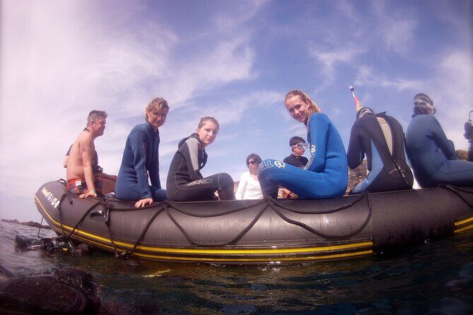 Try Scuba Diving in a turtle area (boat) - An In-Depth Look at the Experience