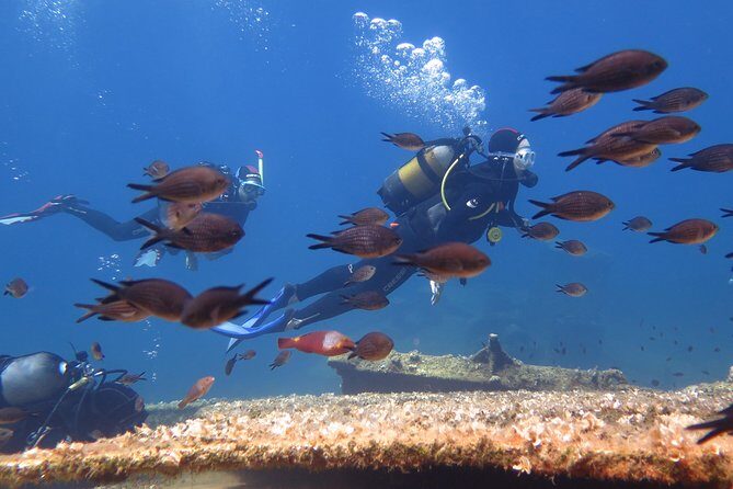 Try Scuba Diving in Amorgos - Trying Scuba Diving in Amorgos: A Practical Review