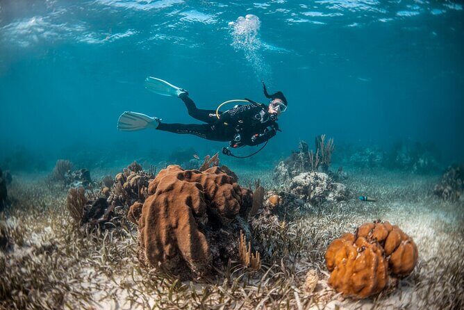 Try Scuba Diving in Amorgos - Who Should Consider This Tour?