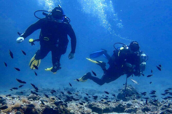 Try Scuba Diving in Split - Introduction