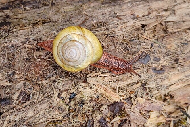 Tryon Creek Eco-tour With a Master Naturalist - A Genuine Look at the Tryon Creek Eco-tour
