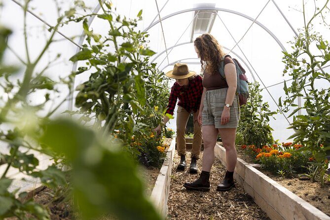 TSS Earnslaw Cruise & Walter Peak Garden to Table in Queenstown - Authentic Traveler Insights