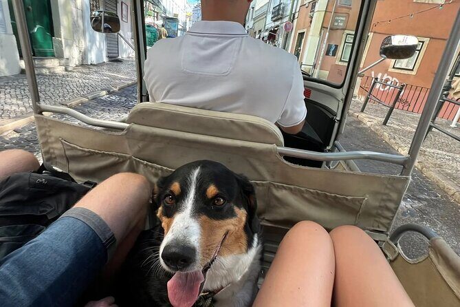 Tuk-Tuk Lisbon Tour 1 - 3hours - Vibrant Cais do Sodré and Culinary Stops