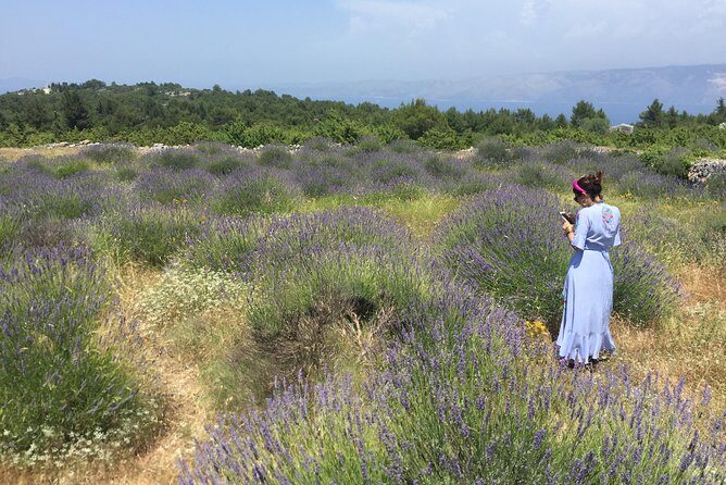 Tuk Tuk Sightseeing Tour of Hvar - Practical Details to Keep in Mind