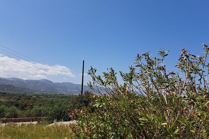 Tuk Tuk Sissi Ride 2 hours private tour - FAQs