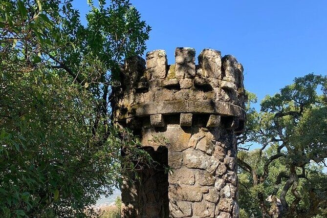 Tuk Tuk Transfer With Sintra Pena Ticket From Meeting Point - A Closer Look at the Experience