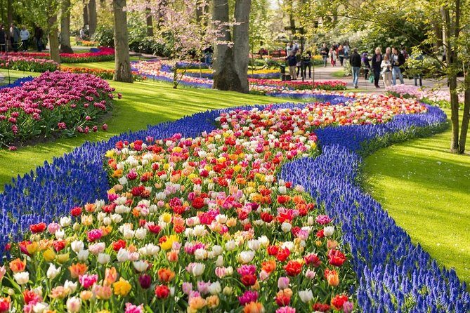 Tulip Experience and Keukenhof Flower Gardens Tour from Amsterdam - The Tour Breakdown: What to Expect