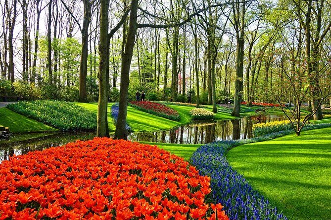 Tulip Experience and Keukenhof Flower Gardens Tour from Amsterdam - Authentic Experiences from Reviewers