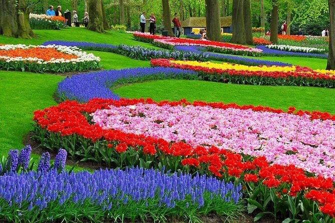 Tulip Experience and Keukenhof Flower Gardens Tour from Amsterdam - Final Thoughts
