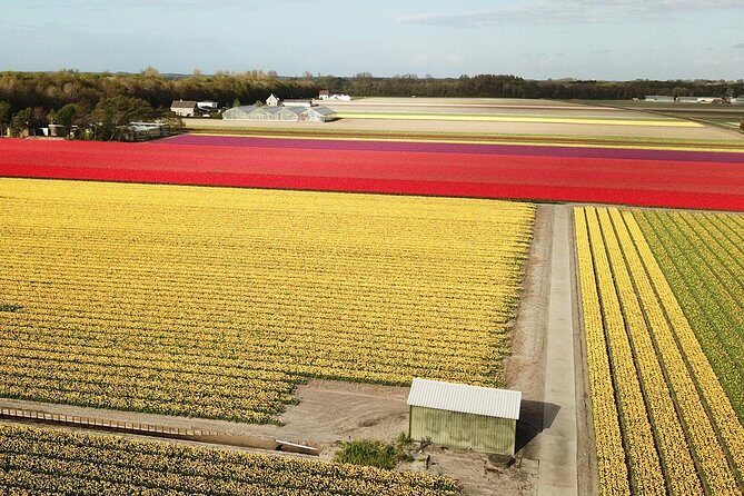 Tulip Fields near Keukenhof - Self-Drive Audio Tour for 2 People - FAQ