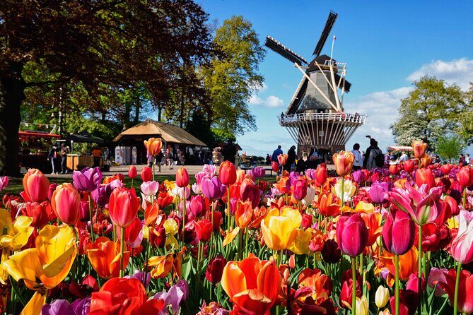 Tulip Paradise: Keukenhof Half-Day Private Tour - A Well-Organized Journey through Dutch Floral Land