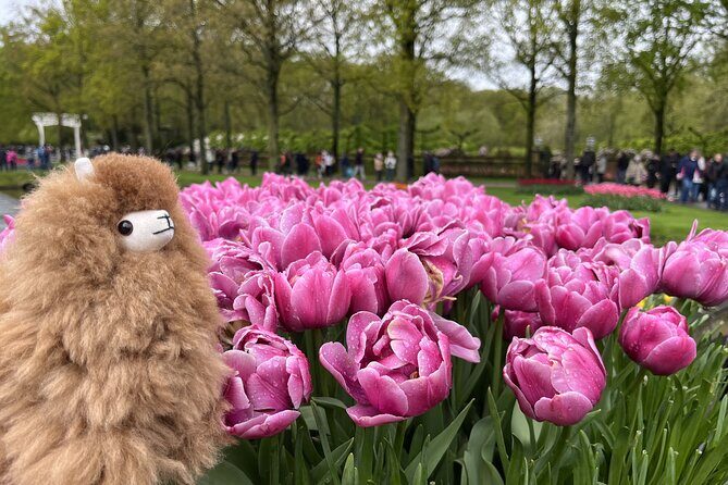 Tulip Paradise: Keukenhof Half-Day Private Tour - Frequently Asked Questions