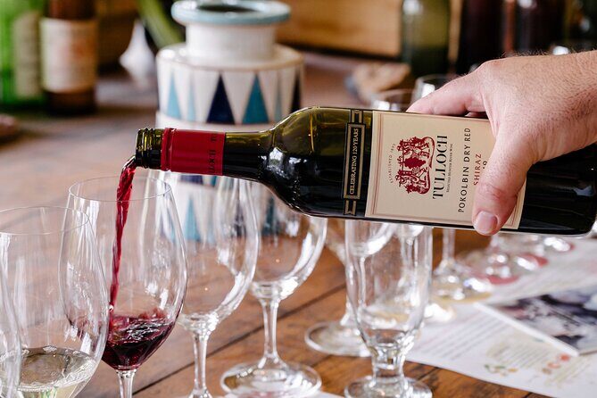 Tulloch Wines- Tasting of 6 Pokolbin Dry Red Shiraz Vintages with Charcuterie - Introduction