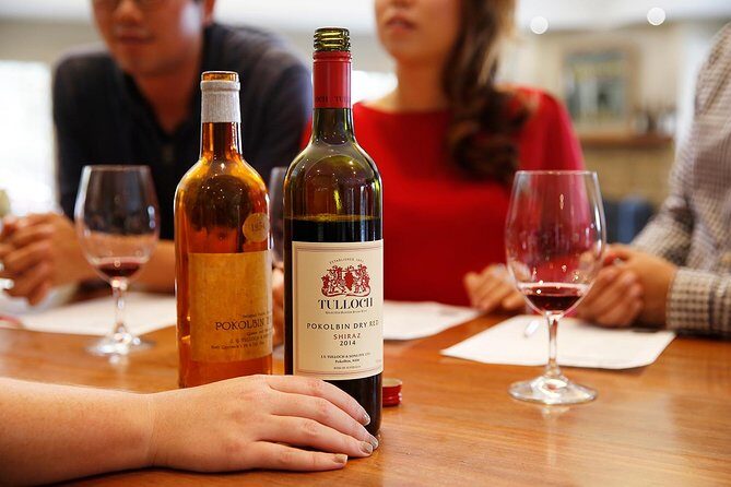 Tulloch Wines- Tasting of 6 Pokolbin Dry Red Shiraz Vintages with Charcuterie - Who Is This Tour Best For?