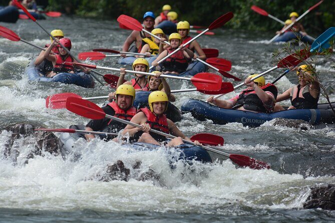 Tully River White Water Rafting Half day- from Mission Beach - What Makes This Tour Stand Out?