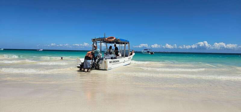 Tulum: 2-Hour Snorkeling in Two Spots of Tulum's Reef - The Sum Up: Is This Tour Right for You?