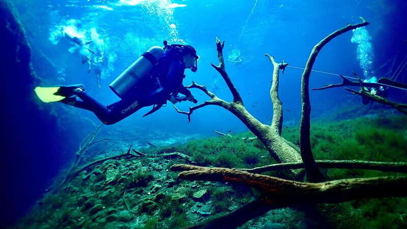 Tulum: 2 Tank Cenote Dive - What You Get and What to Expect