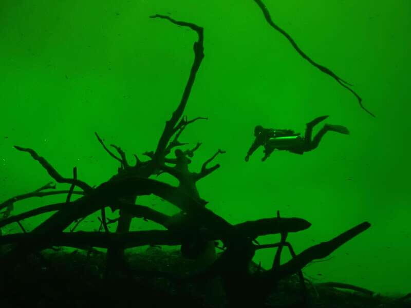 Tulum: 2 Tank Cenote Dive - Practical Tips for a Smooth Experience