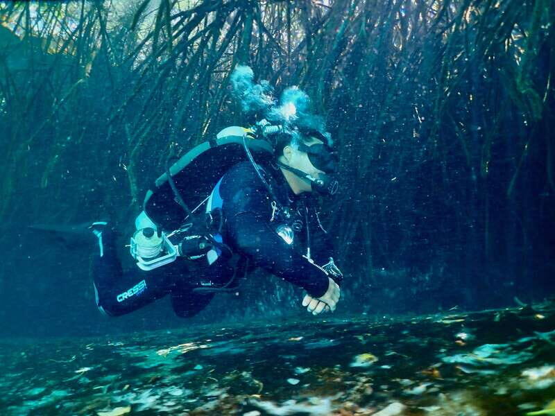 Tulum: 2 Tank Cenote Dive - Who Is This Tour Best Suited For?