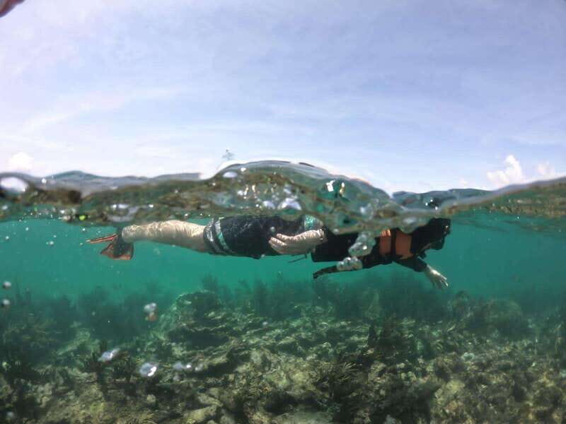 Tulum: 3 hour Snorkel & sailing experience - The Sum Up